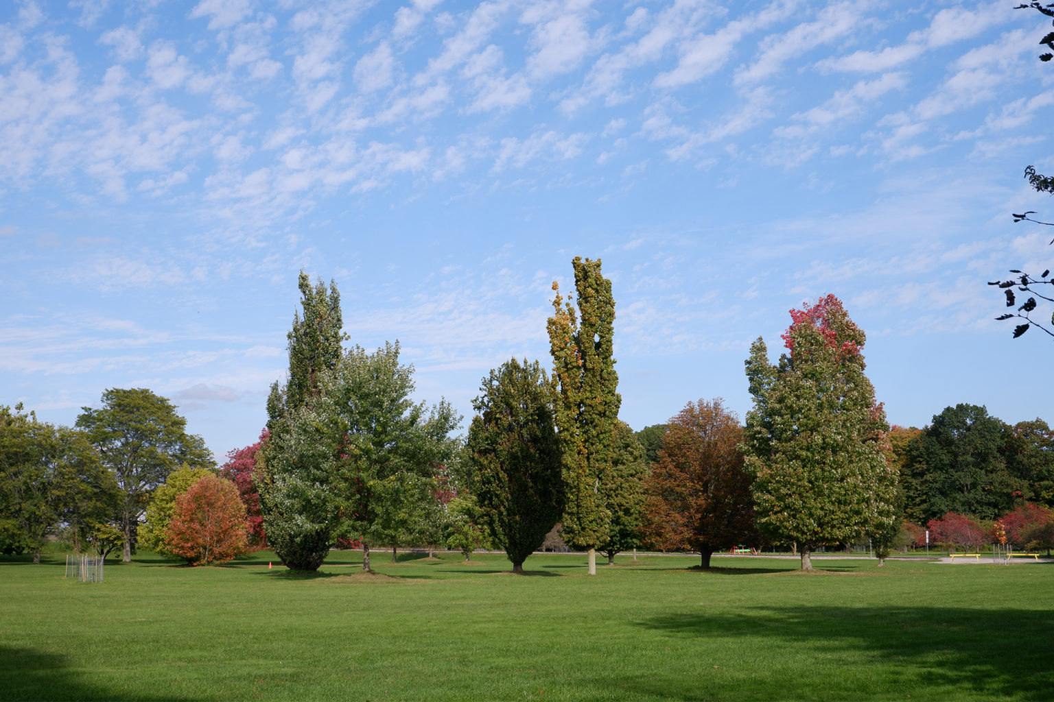 5 Reasons to Visit the Arboretum - Royal Botanical Gardens