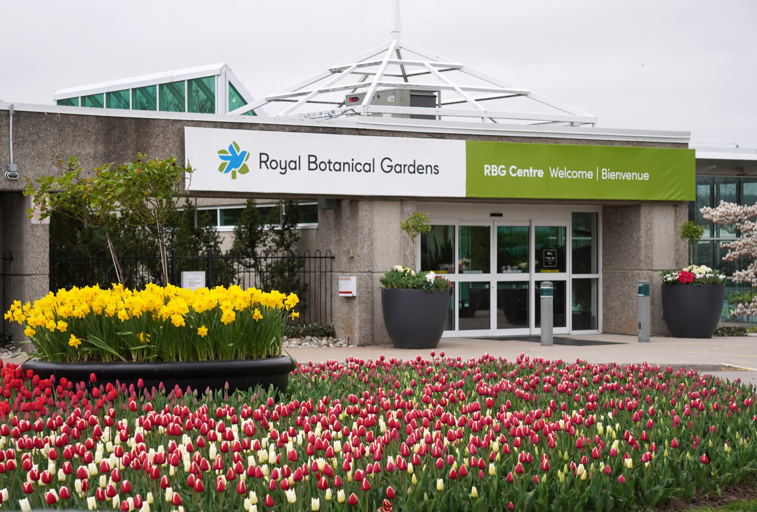 RBG Centre - Royal Botanical Gardens