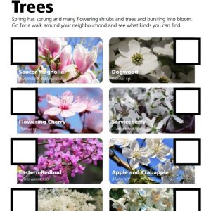 RBG at Home - for Families - Royal Botanical Gardens