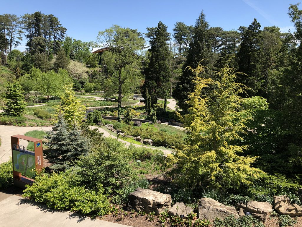 Photo Tour: June Views at Rock Garden - Royal Botanical Gardens