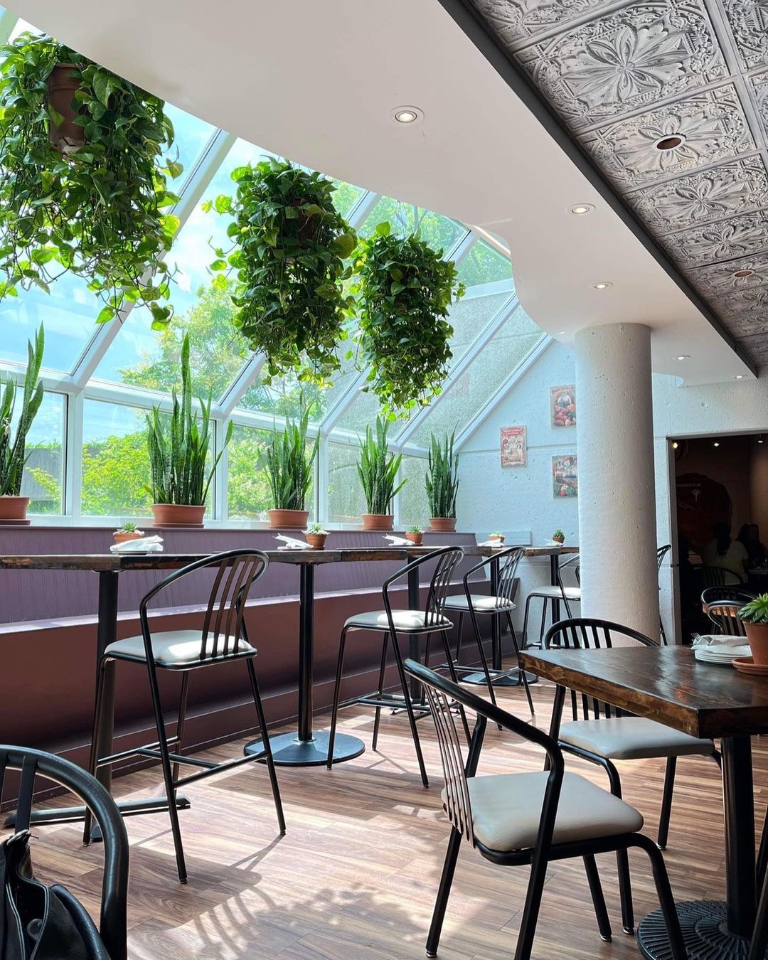 Greenhouse Café - Royal Botanical Gardens