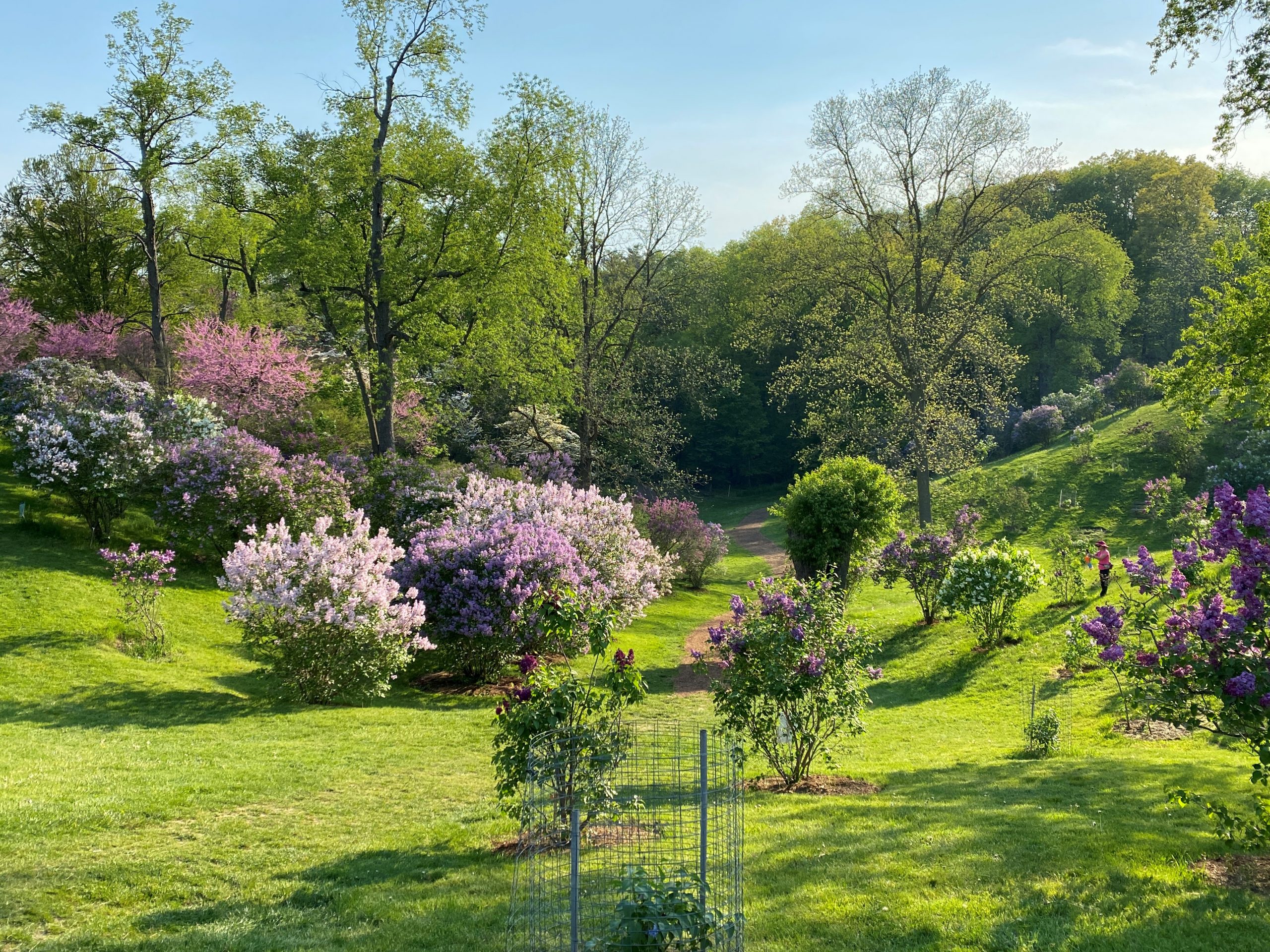 Arboretum - Royal Botanical Gardens