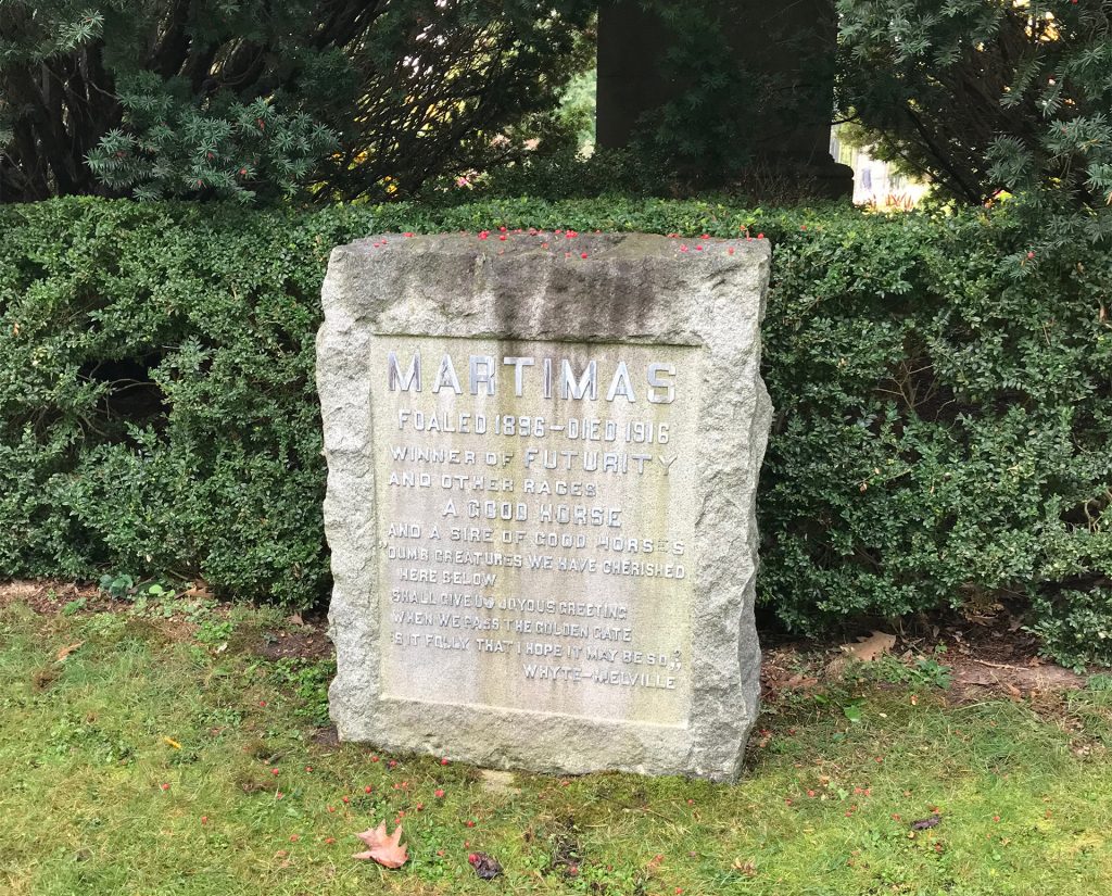 The Mystery of Martimas, the Horse of Hendrie Park - Royal Botanical ...