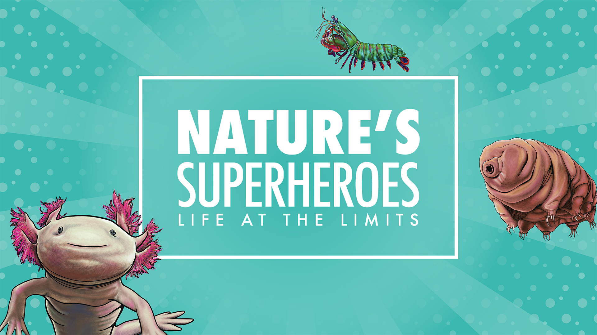 Winter Exhibit - Nature's Superheroes! - Royal Botanical Gardens