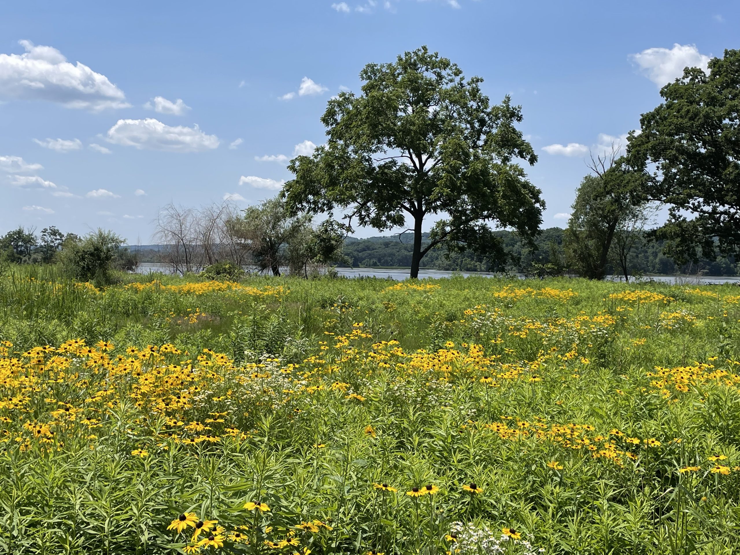 RBG receives $303,200 for Grasslands and Meadows Project and $150,000 ...