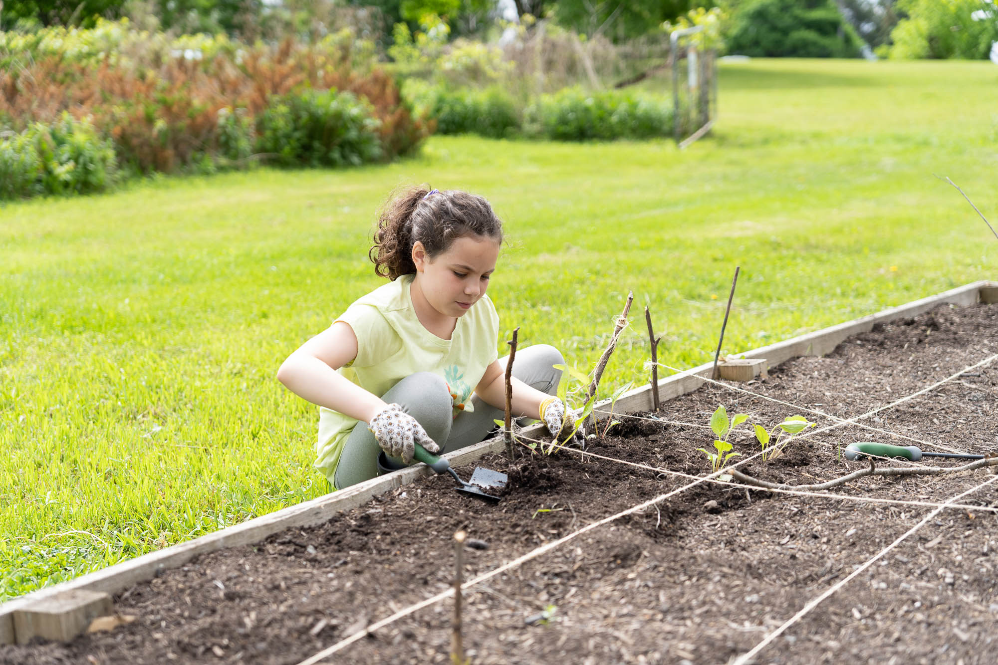 Children and Youth Gardening - Royal Botanical Gardens