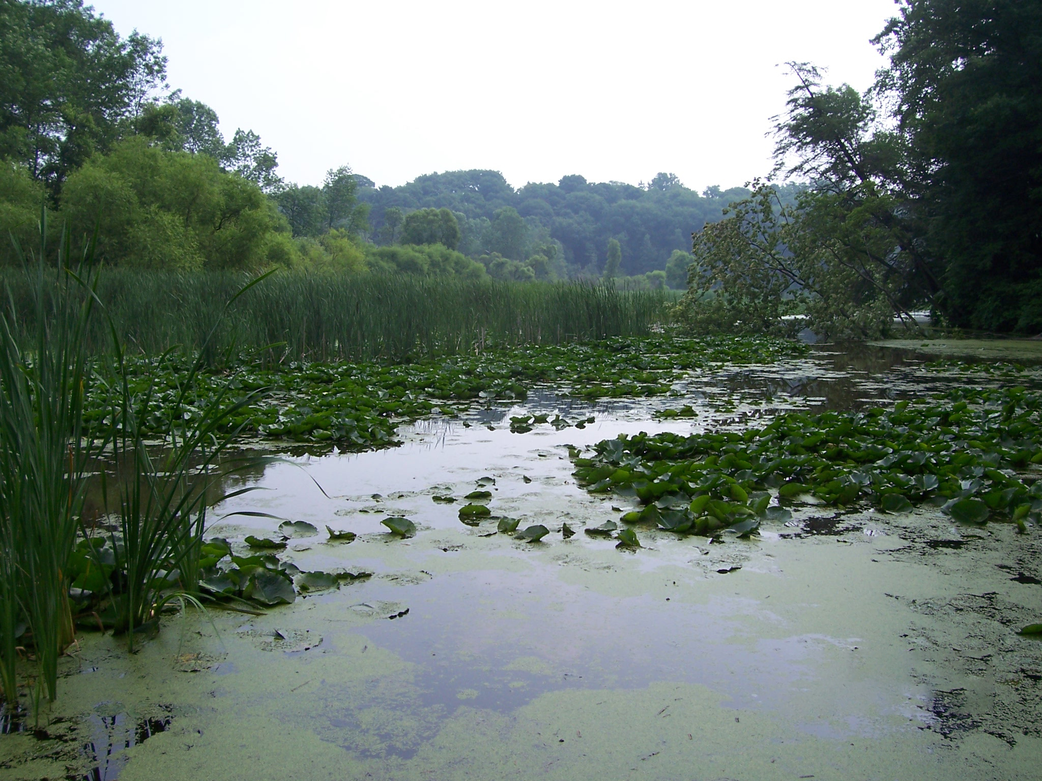 Special Protection Areas - Royal Botanical Gardens
