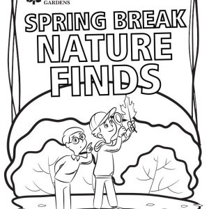 RBG at Home - for Teachers - Royal Botanical Gardens