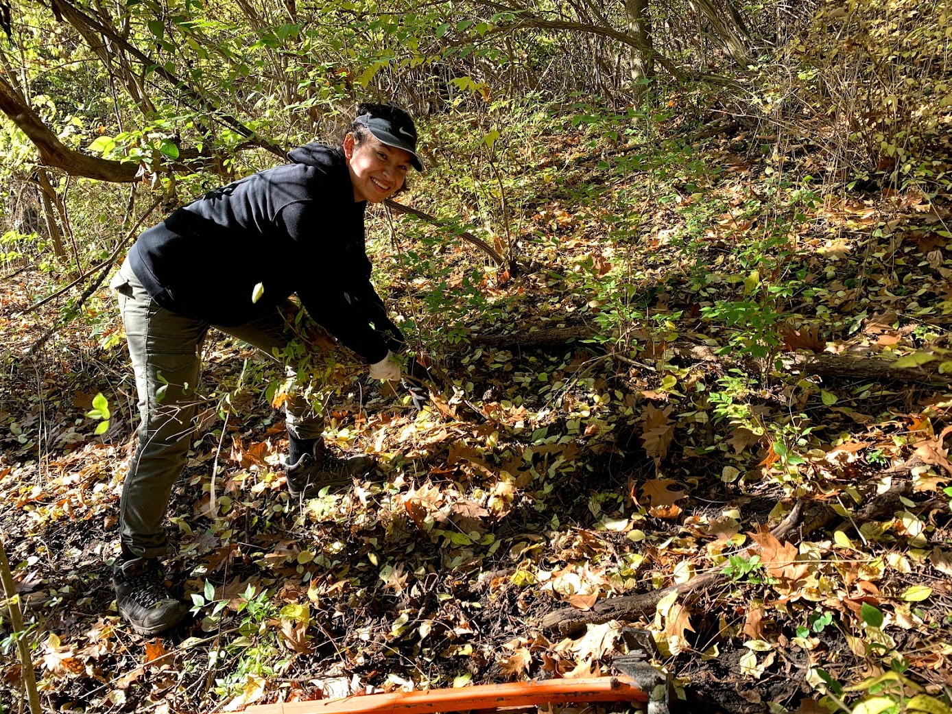 Invasive Species Management - Royal Botanical Gardens