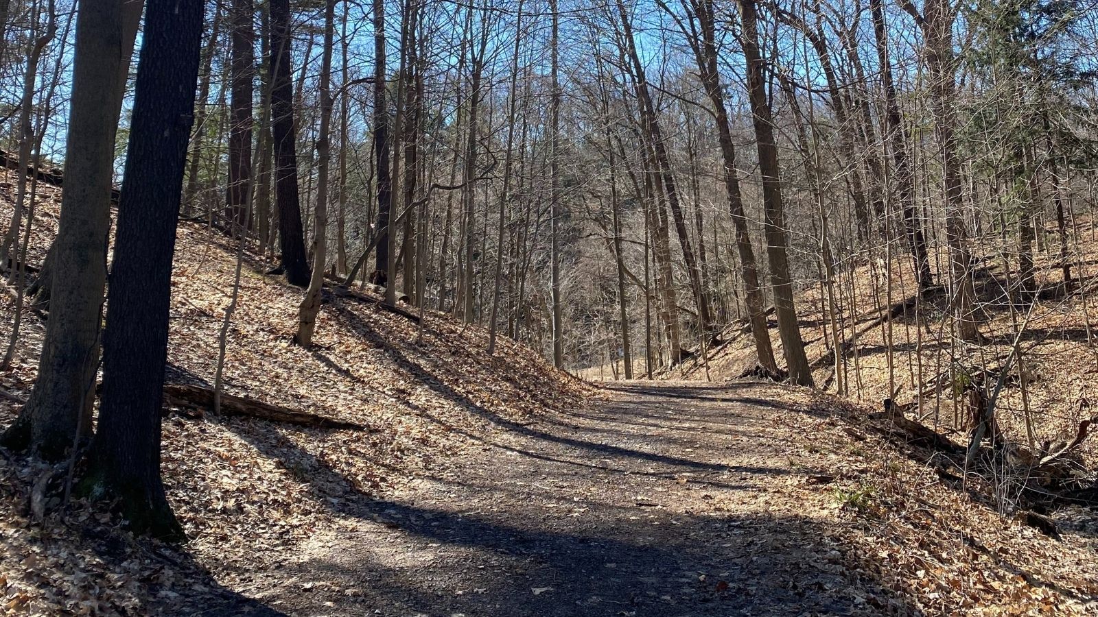 Trail Running Impacts - Royal Botanical Gardens