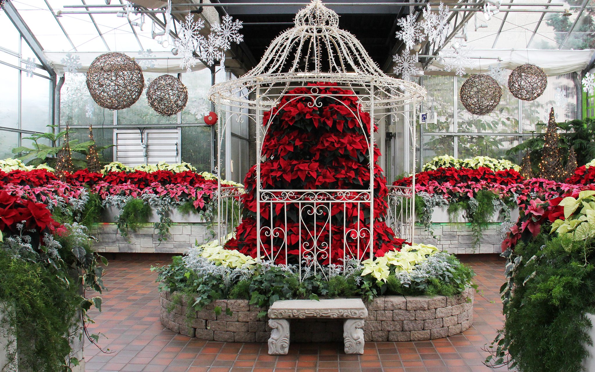 What's in Bloom? December at RBG - Royal Botanical Gardens