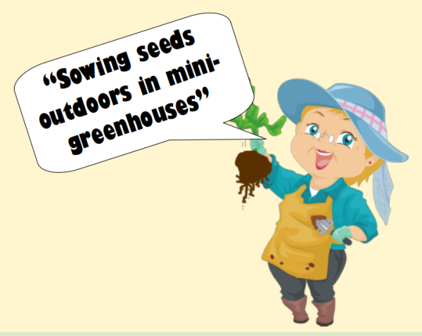 Winter Sowing: Before You Start - Royal Botanical Gardens