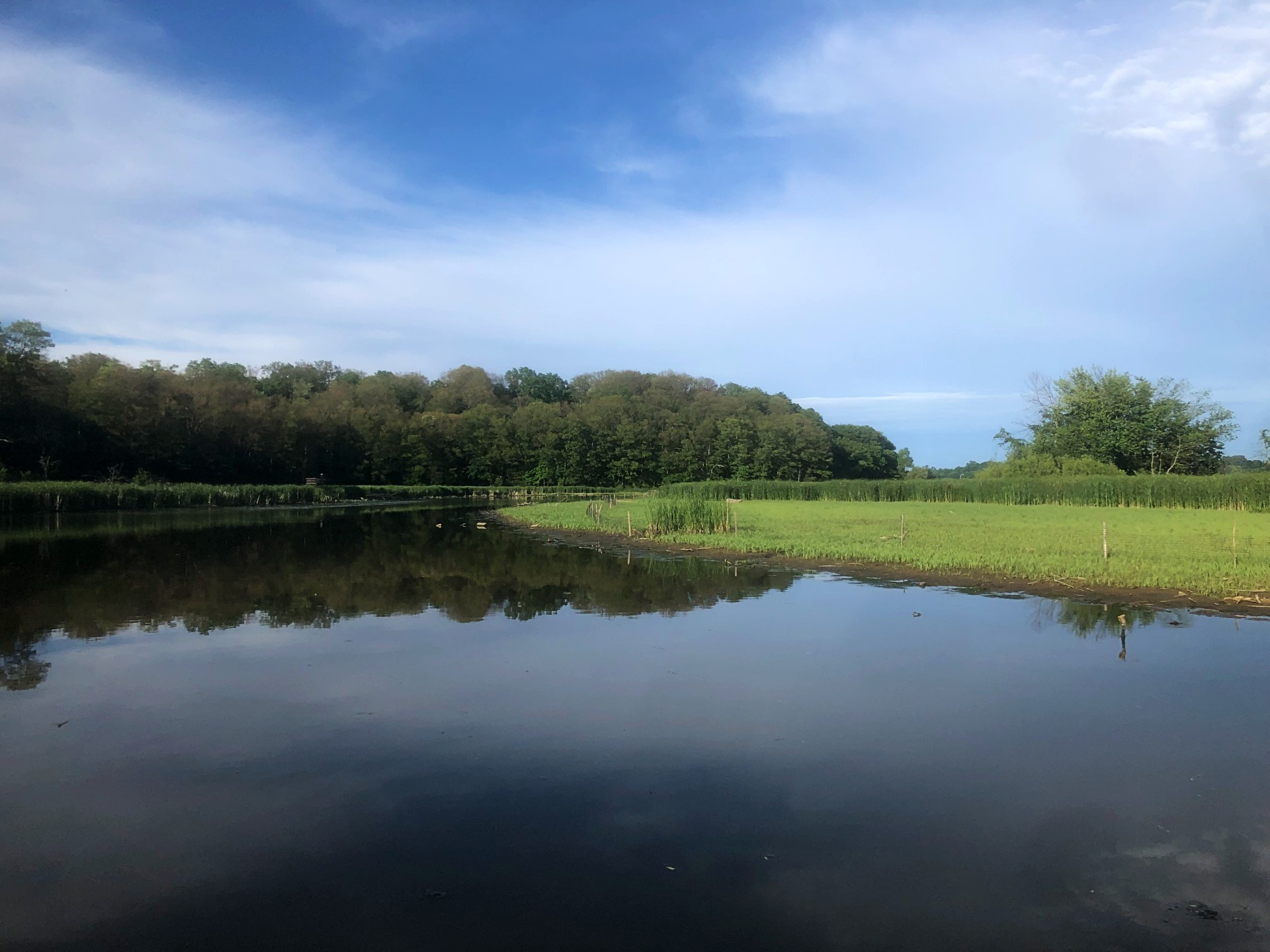 Watersheds & Marsh Water Quality - Royal Botanical Gardens