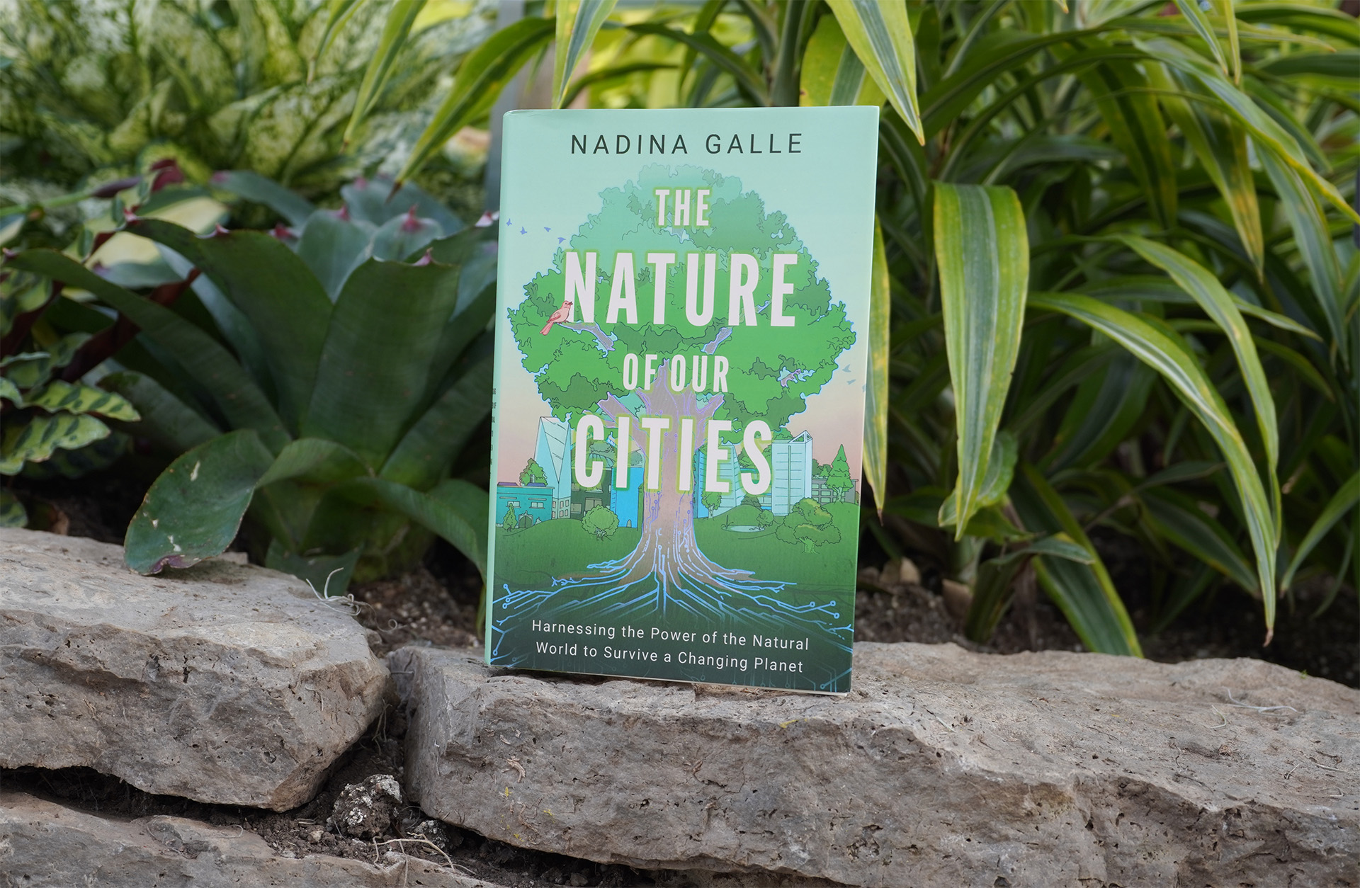 Patrick Colgan Memorial Lecture: The Internet of Nature - Royal ...