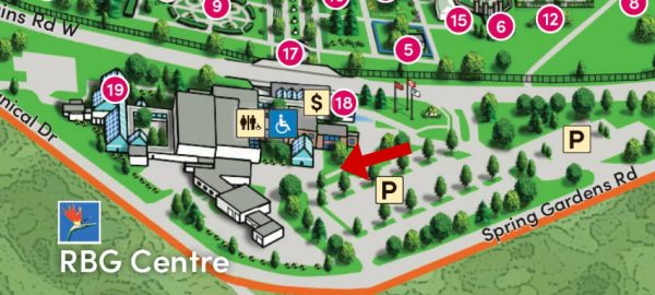 Lilacs - Royal Botanical Gardens