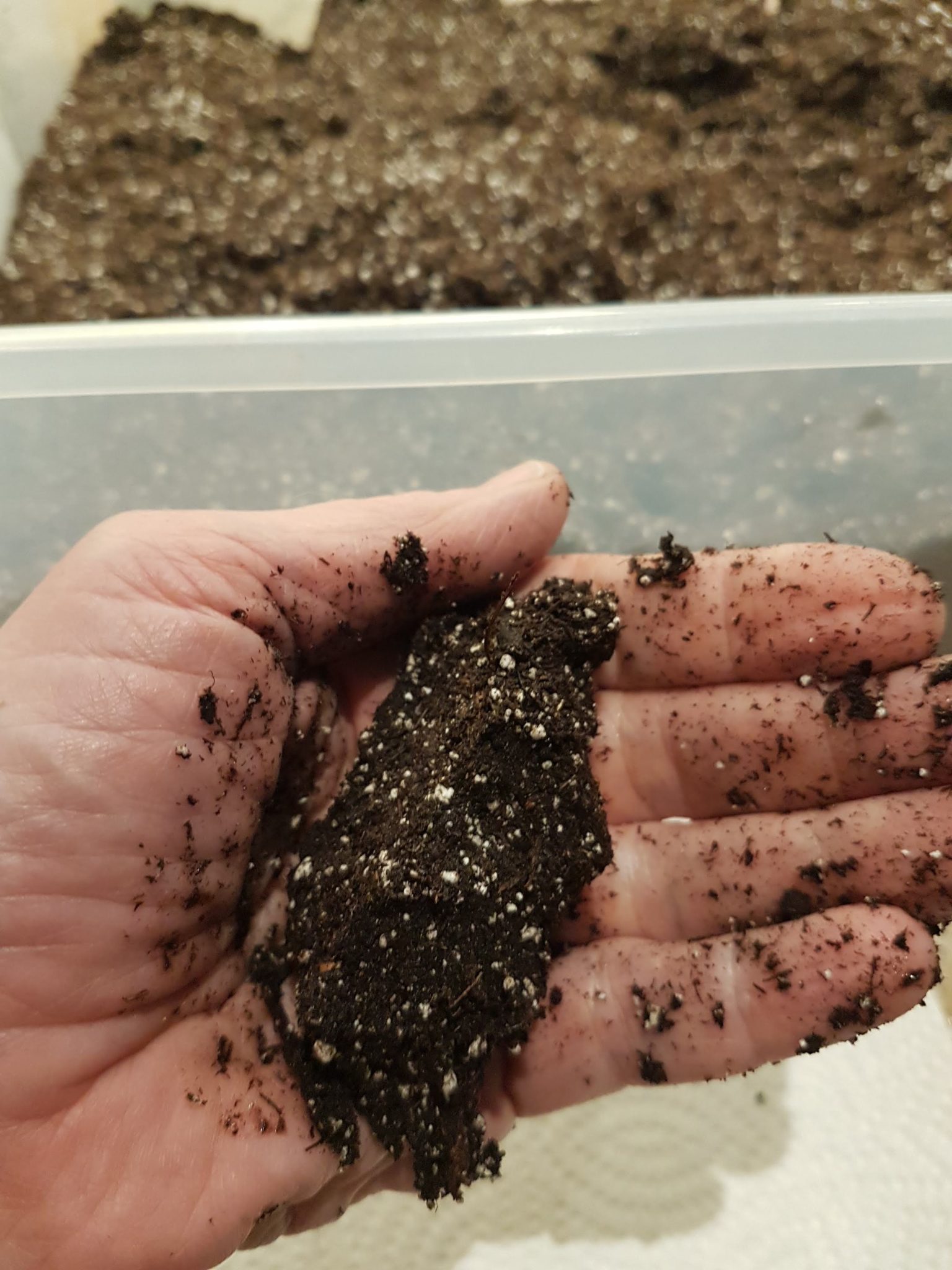 Winter Sowing: Before You Start - Royal Botanical Gardens